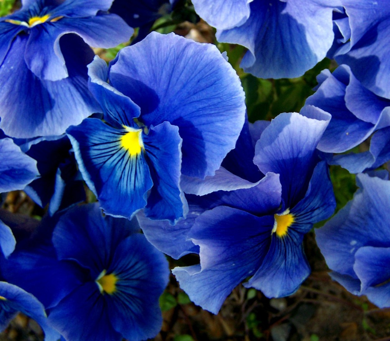 Home - Christoforus Kinderopvang